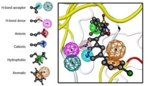 IMPORTANCE OF PHARMACOPHORE IN DRUG DESIGN – RASA Life Sciences