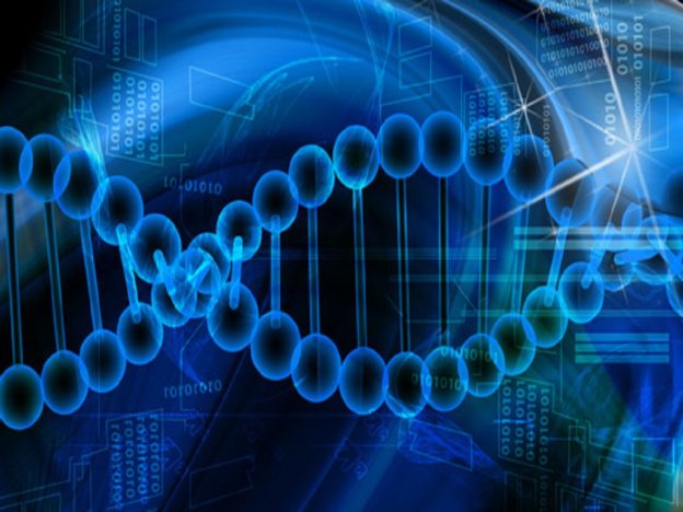 BIOTECHNOLOGY AND BIOINFOMATICS – RASA Life Sciences